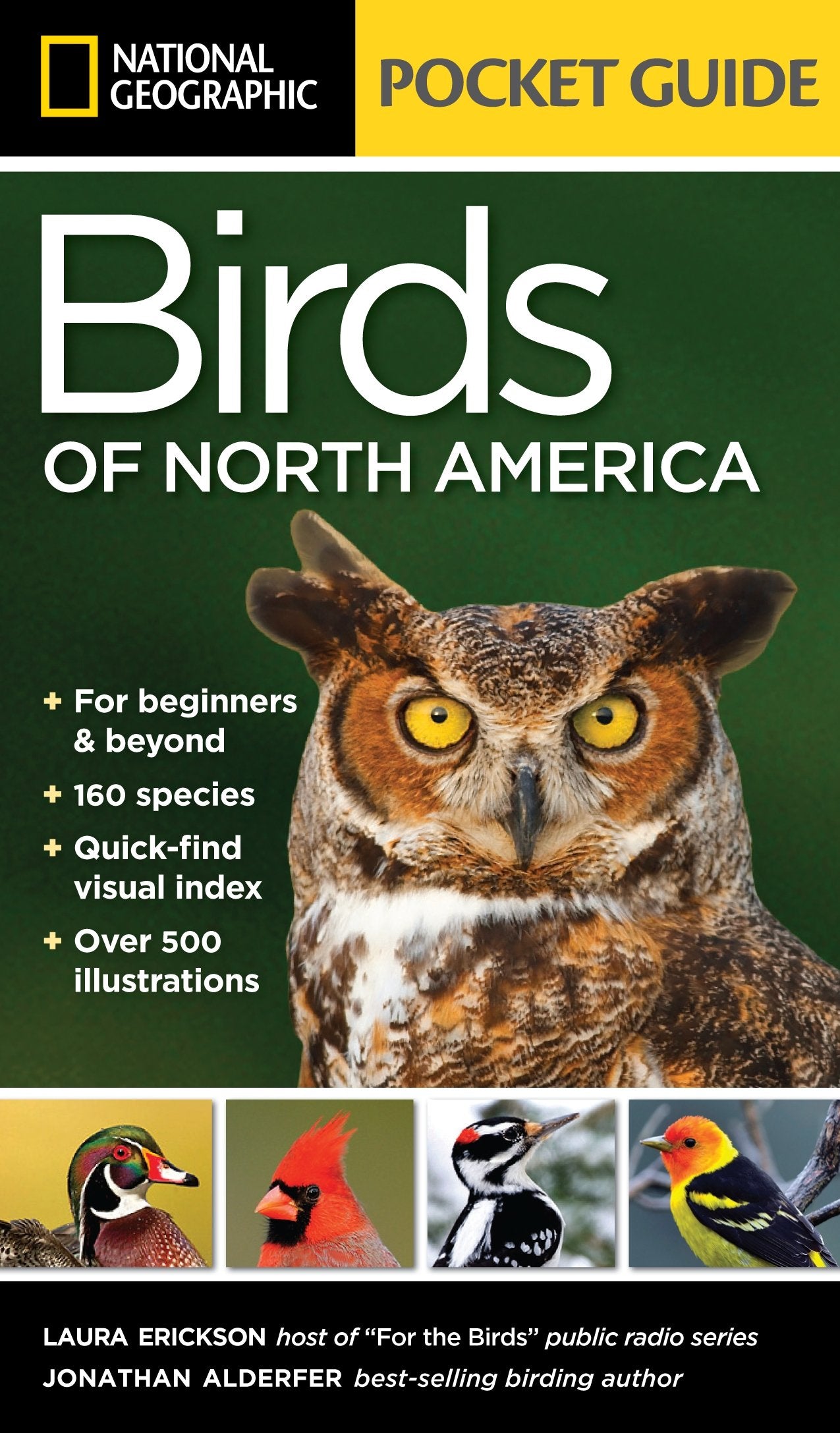 Pocket Guide: Birds Of North America – The Natural Resources Map ...