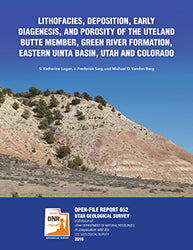 Lithofacies, Deposition, Early Diagenesis, and Porosity of the Uteland ...